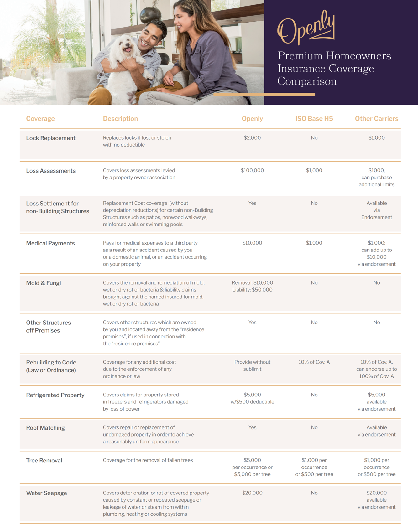 Openly Homeowners Insurance | Anderson Insurance Group